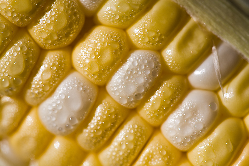 Corn Casserole